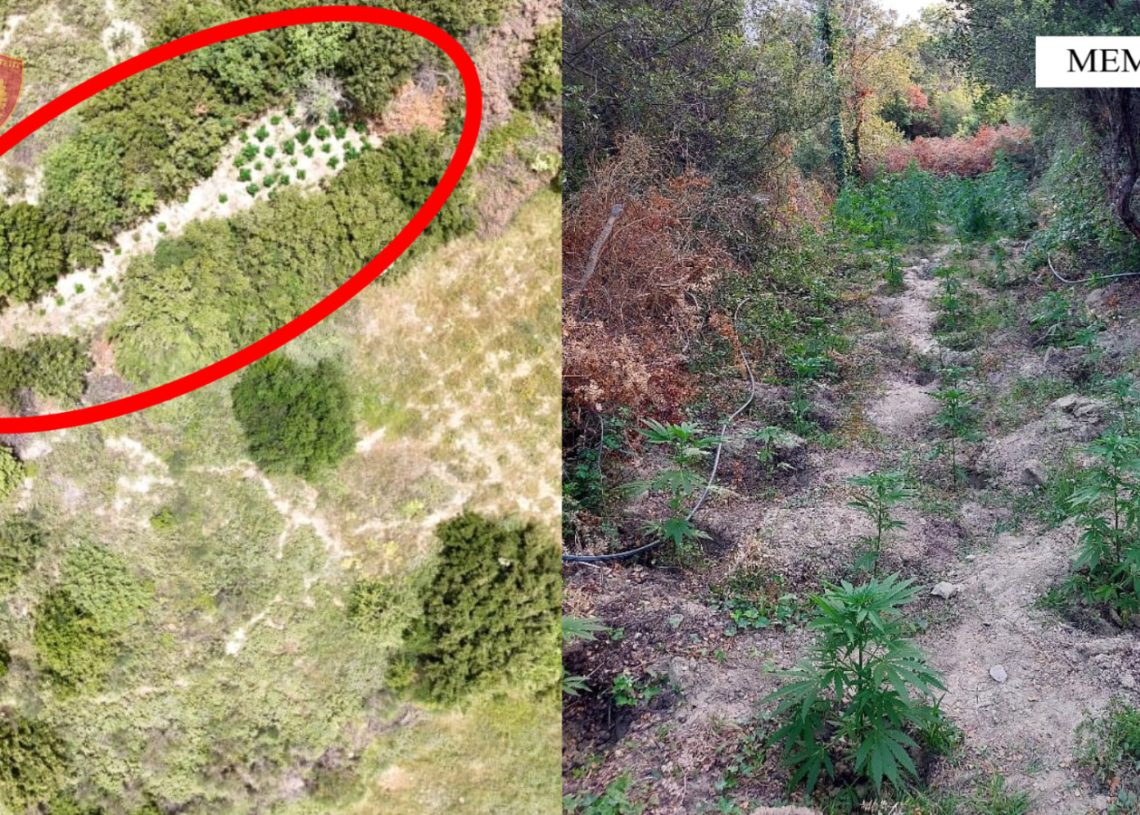 Argjiroja.net - Portali i Jugut